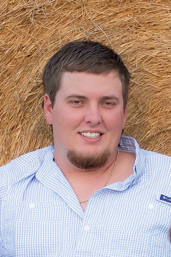 Our Roots – Sunny Blue Fields